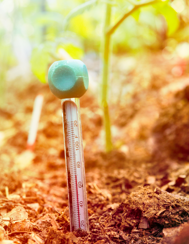 Soil Temperatures - Williamson
